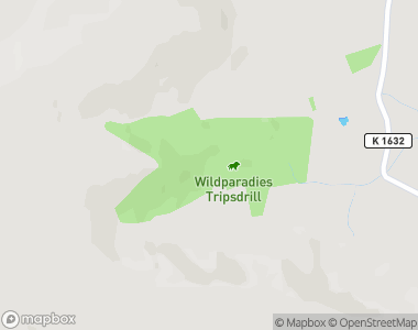 Wildparadies Tripsdrill | mein-wildpark.de | mein-wildpark.de